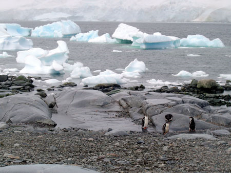Visitor Site Guidelines - 10. Pleneau Island