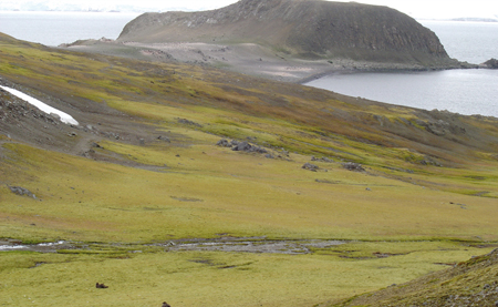Visitor Site Guidelines - 2. Barrientos Island (Aitcho Islands)