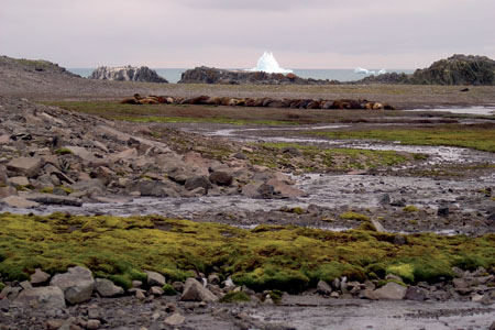 Visitor Site Guidelines - 11. Turret Point