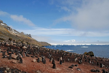 Visitor Site Guidelines - 13. Brown Bluff